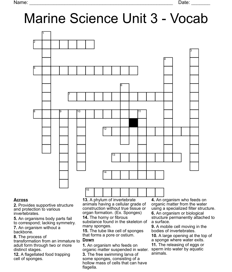 All About Sponges Crossword - WordMint