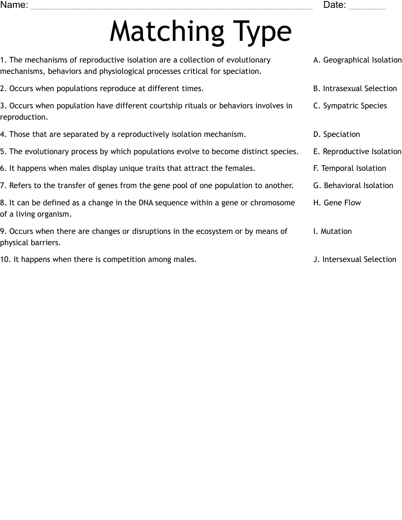 Matching Type Worksheet WordMint
