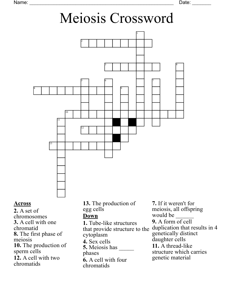Meiosis Crossword - WordMint