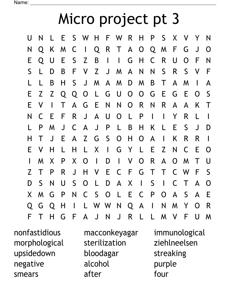 Micro project pt 3 Word Search - WordMint