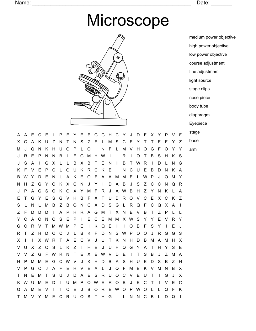 Microscope Word Search WordMint