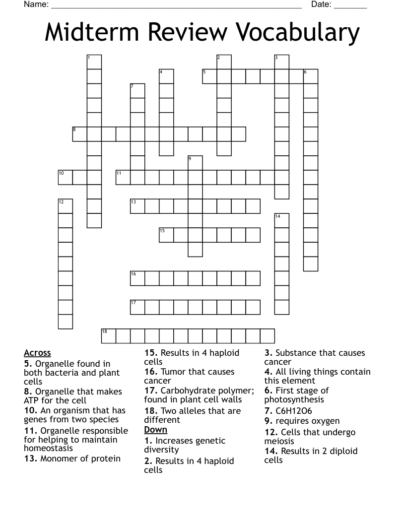 Midterm Review Vocabulary Crossword - WordMint