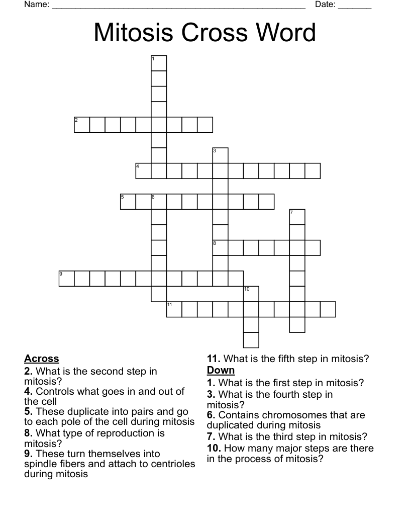 Mitosis Cross Word - WordMint
