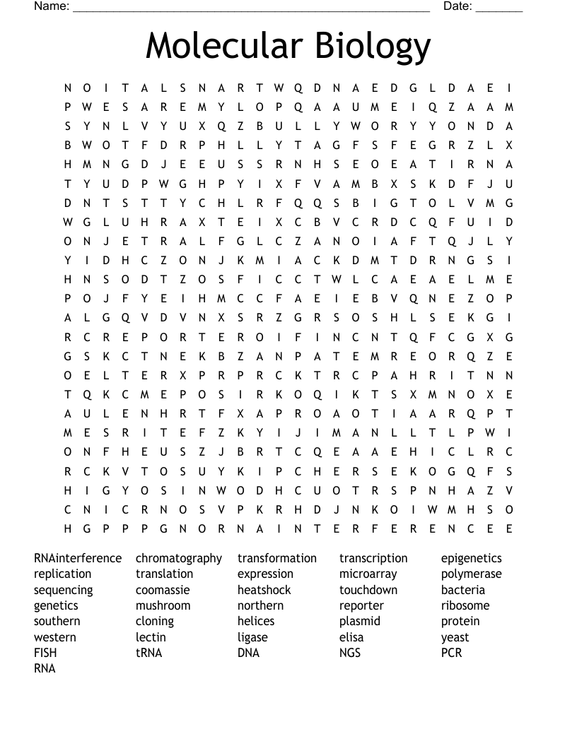Molecular Biology Word Search - WordMint