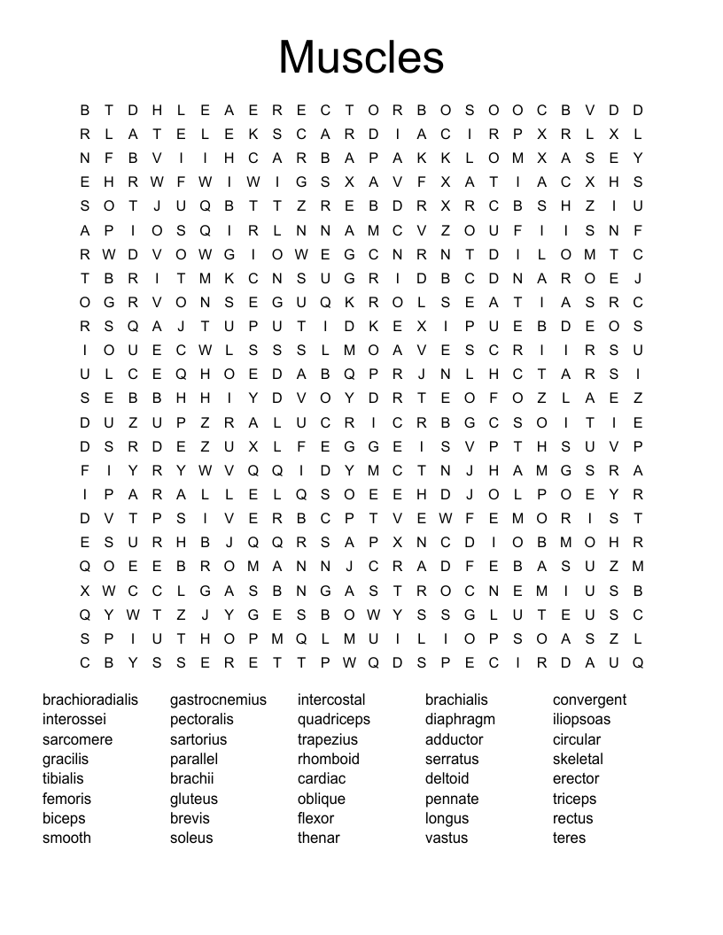 Muscle System Word Search WordMint