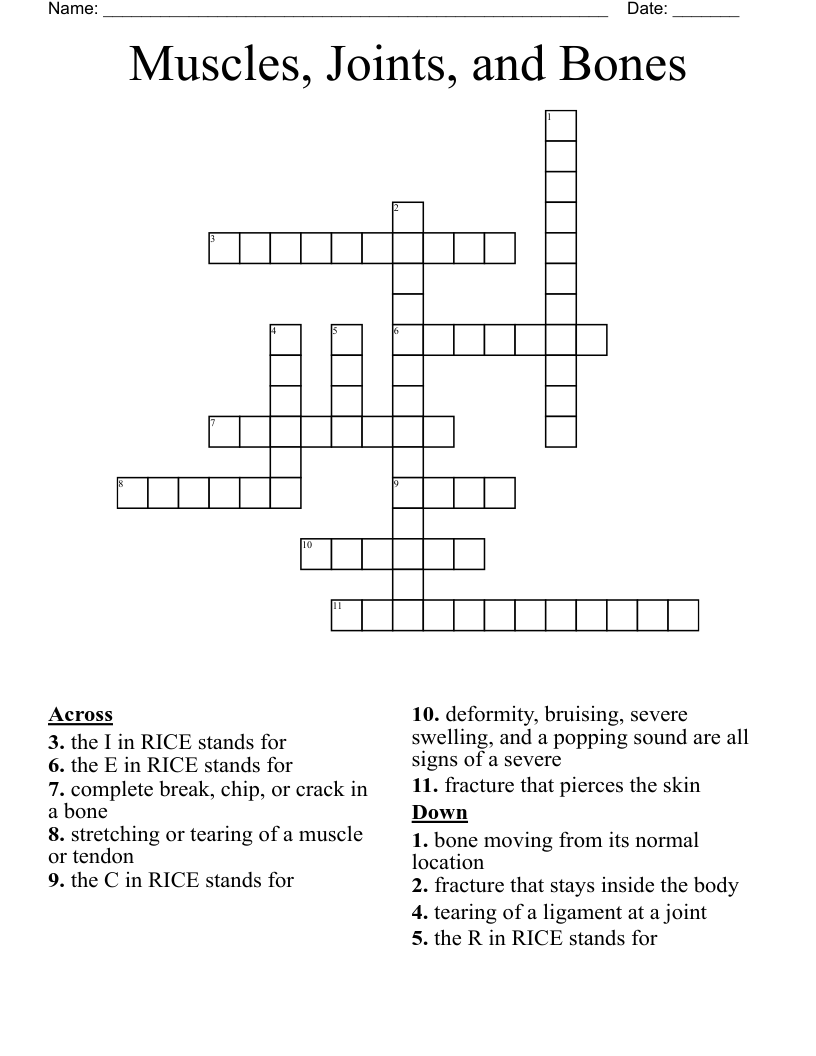 Hip Bone Structure Crossword Clue Halloween Crossword Printable