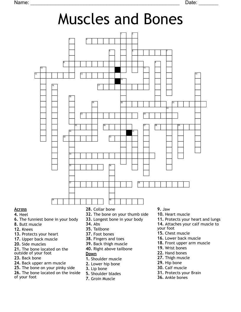 Muscles And Bones Crossword WordMint