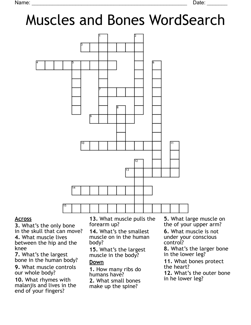 Muscles and Bones WordSearch Crossword - WordMint