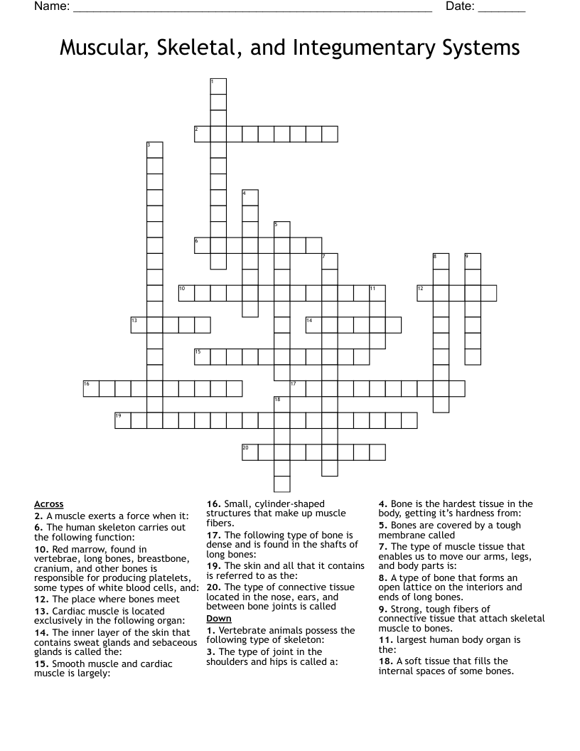 Muscular, Skeletal, and Integumentary Systems Crossword - WordMint
