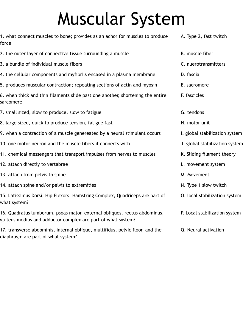 Muscles Of The Hip Thigh And Leg Worksheet Answers Worksheets For 