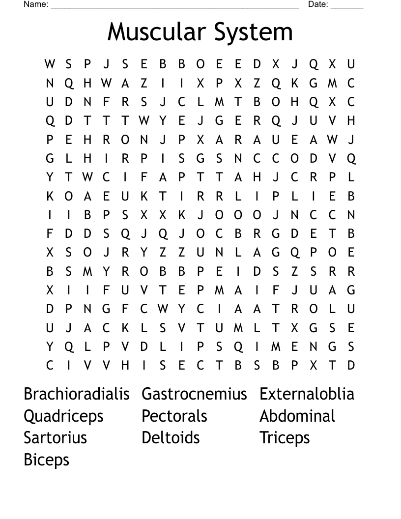 Muscular System Word Search - WordMint