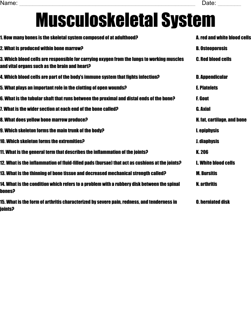 Musculoskeletal System Worksheet WordMint