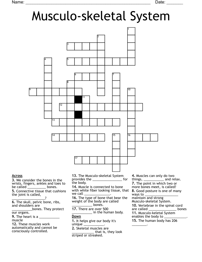 Musculo-skeletal System Crossword - WordMint
