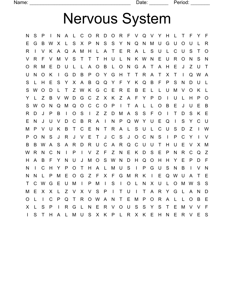 Nervous System Word Search - WordMint