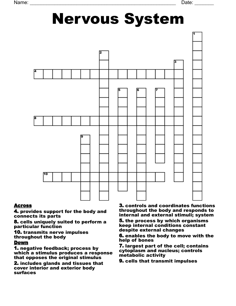 Nervous System Crossword - WordMint