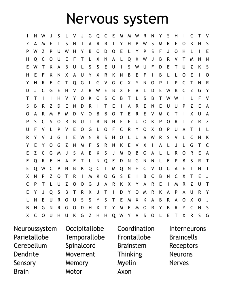 Nervous system Word Search - WordMint