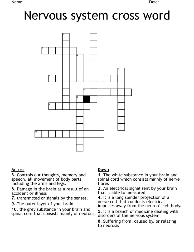 Nervous system cross word - WordMint