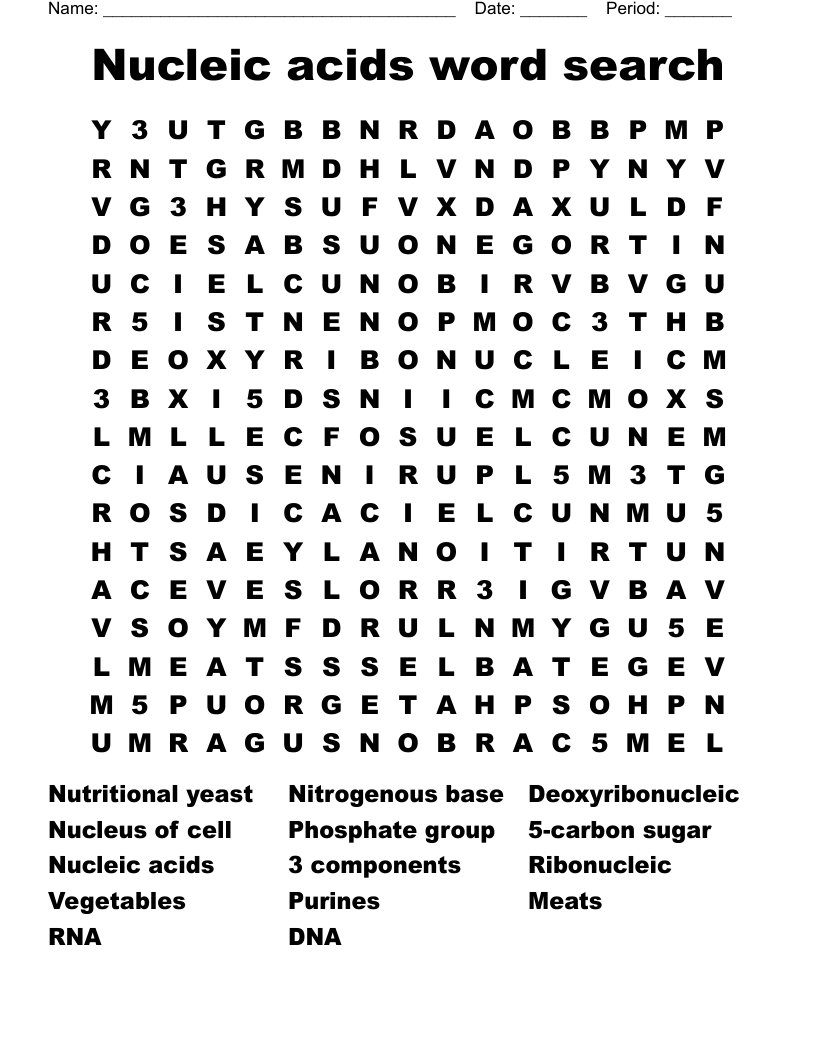 Nucleic acids word search - WordMint