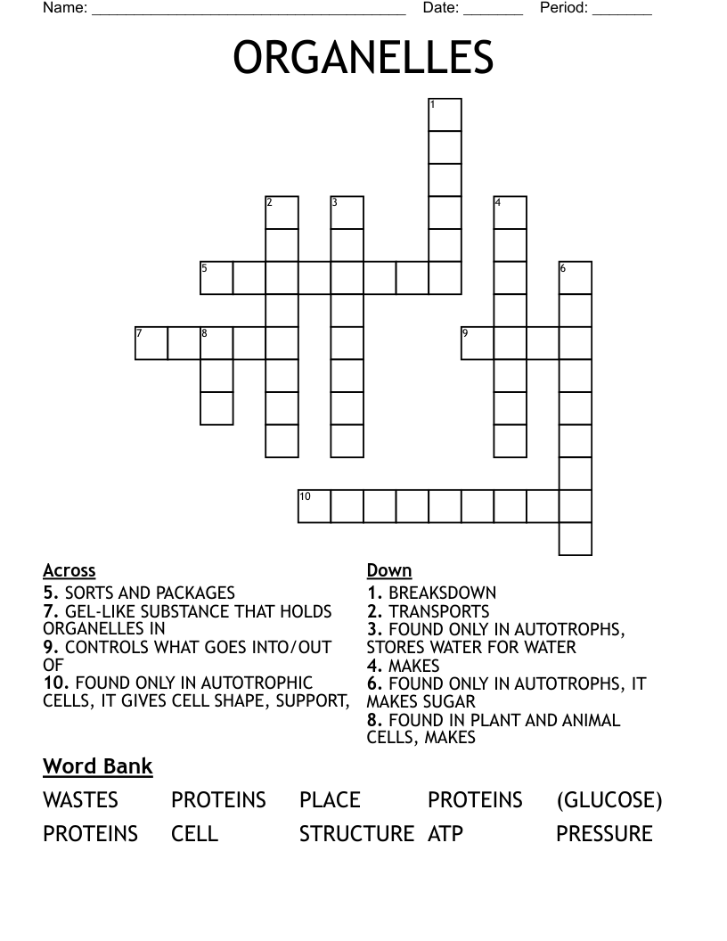ORGANELLES Crossword - WordMint