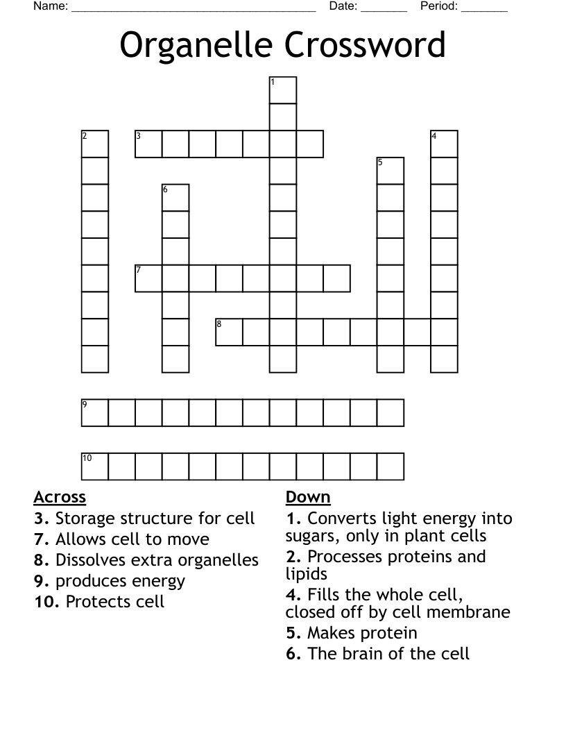 Organelle Crossword - WordMint
