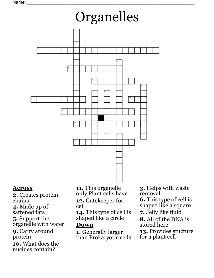 Organelles Crossword - WordMint