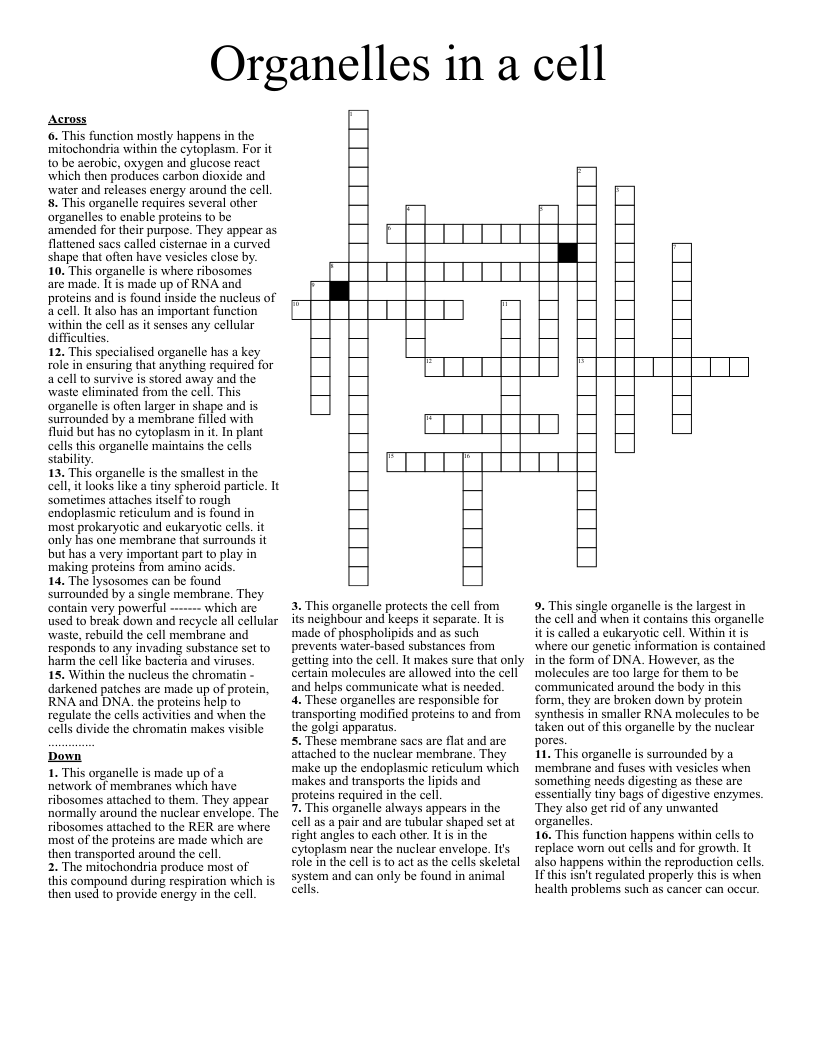 Organelles in a cell Crossword - WordMint