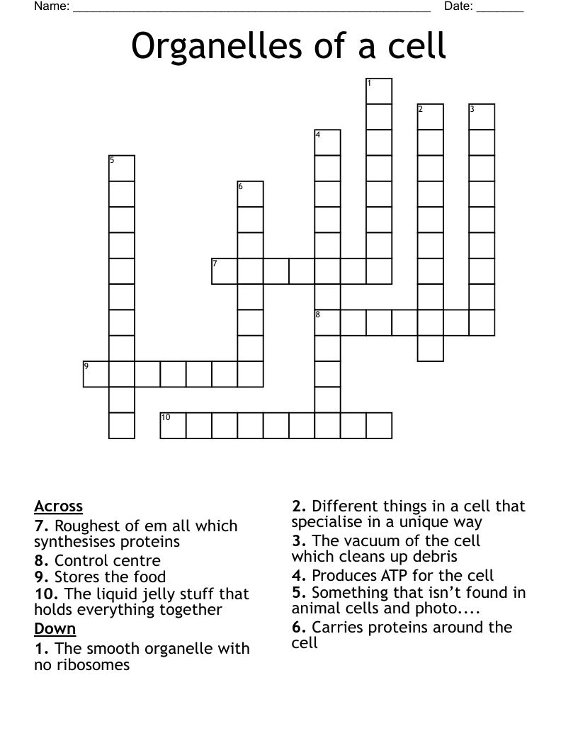 Organelles of a cell Crossword - WordMint