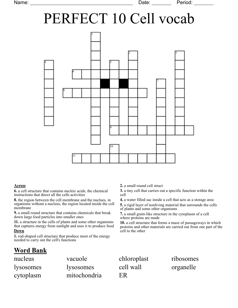 PERFECT 10 Cell Vocab Crossword WordMint PERFECT 10 Cell Vocab Crossword WordMint