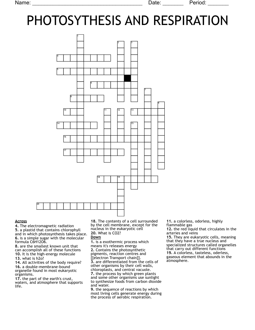 PHOTOSYTHESIS AND RESPIRATION Crossword - WordMint