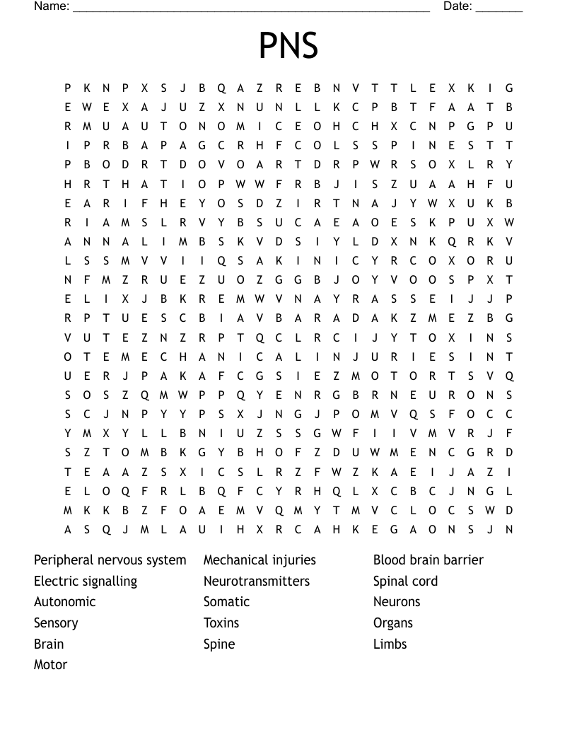 PNS Word Search - WordMint