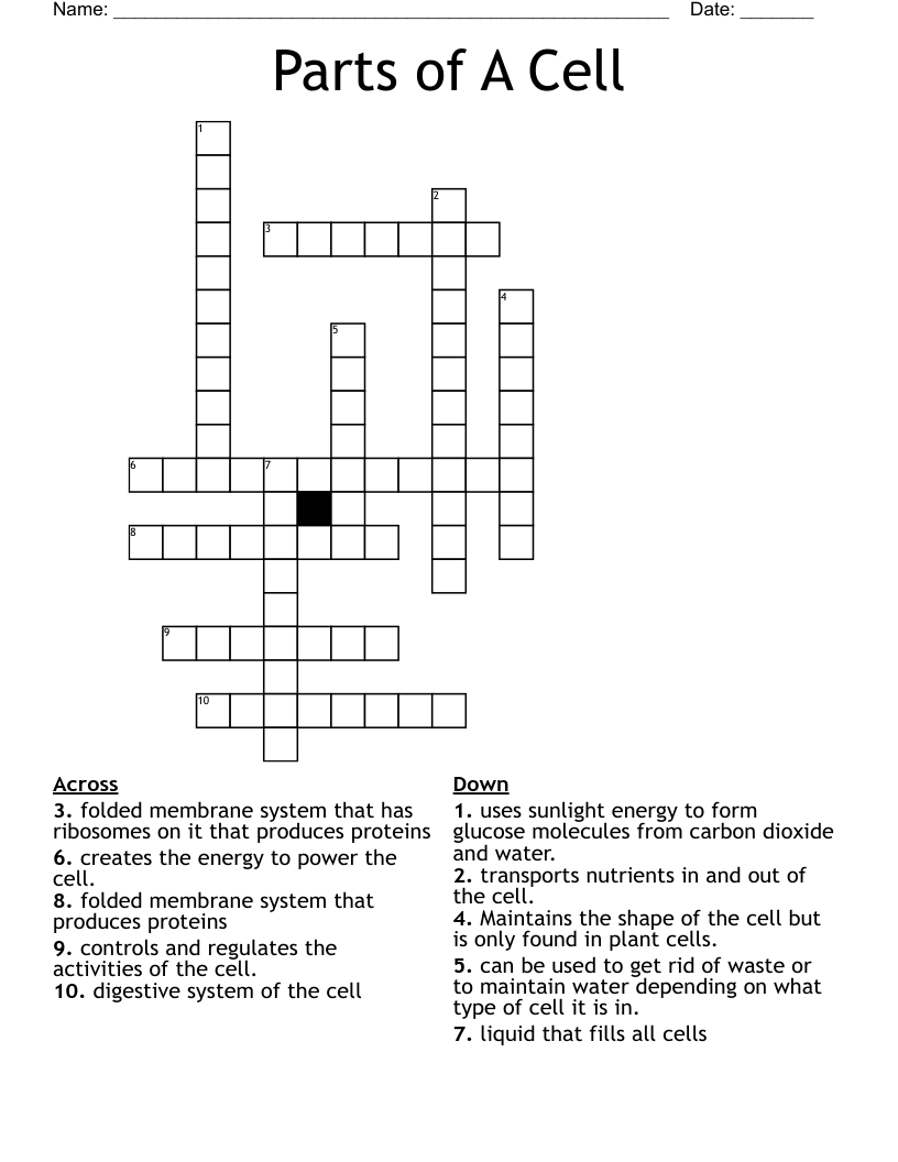 Parts of A Cell Crossword - WordMint
