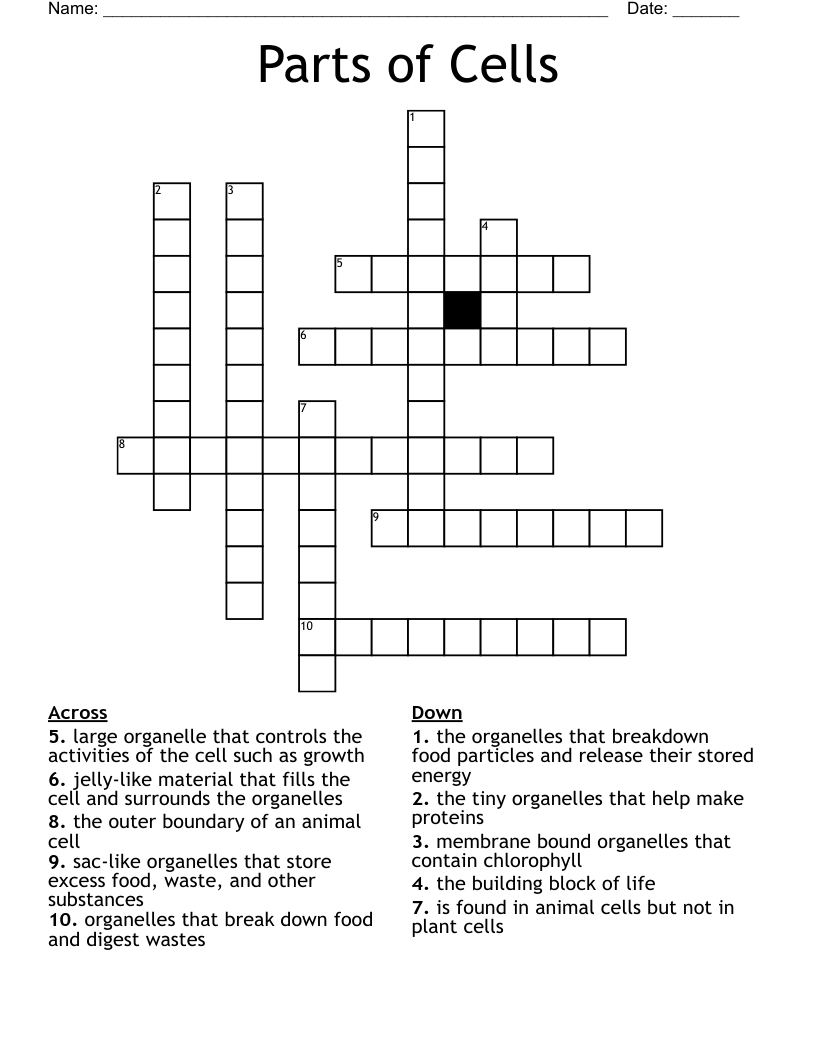 Parts of Cells Crossword - WordMint