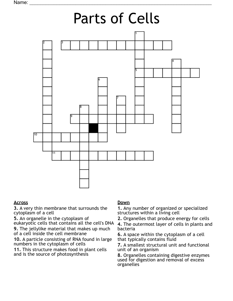 Parts of Cells Crossword - WordMint