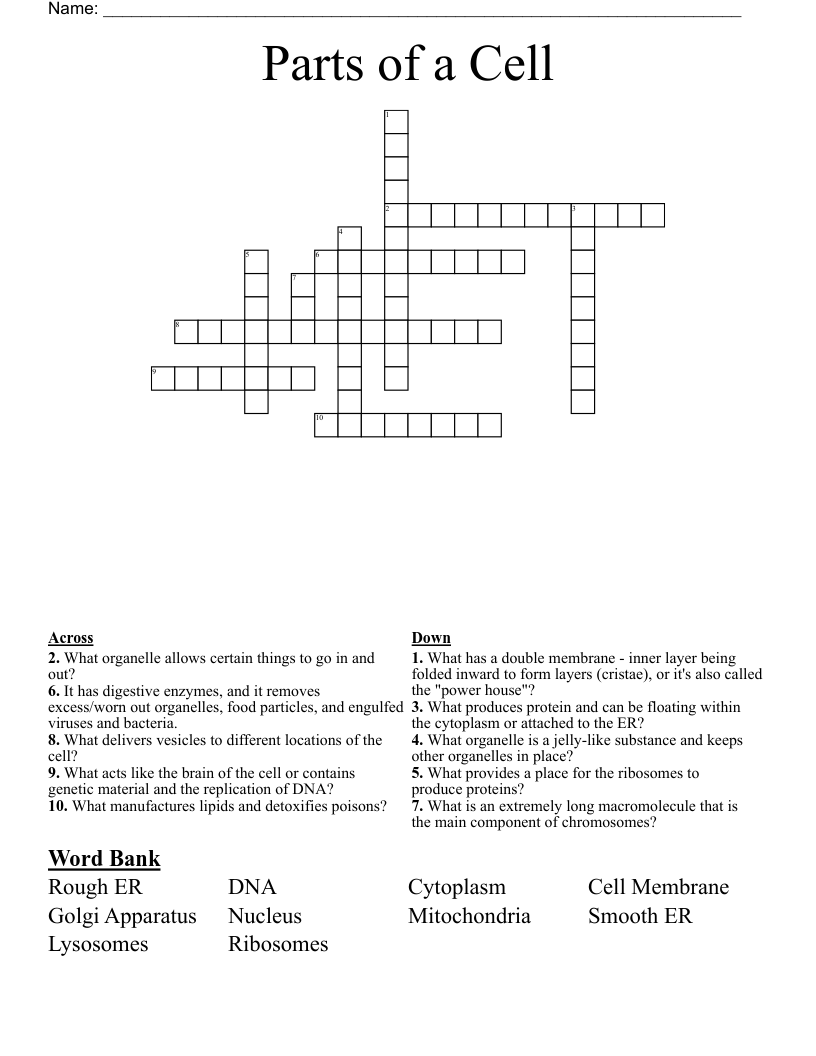 Parts of a Cell Crossword - WordMint