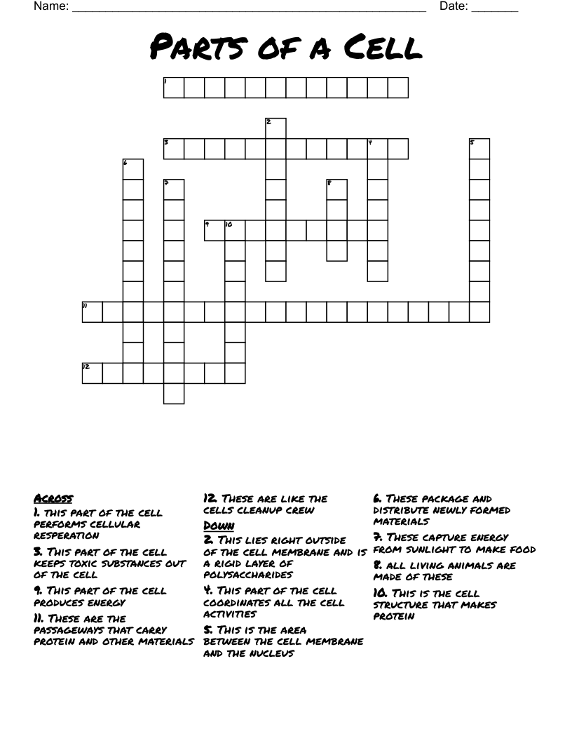 Parts of a Cell Crossword - WordMint
