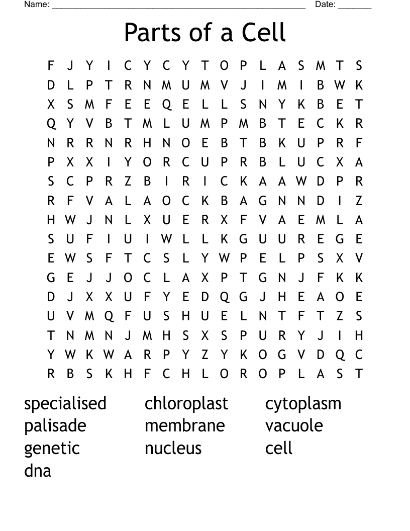 Parts Of A Cell Word Search WordMint