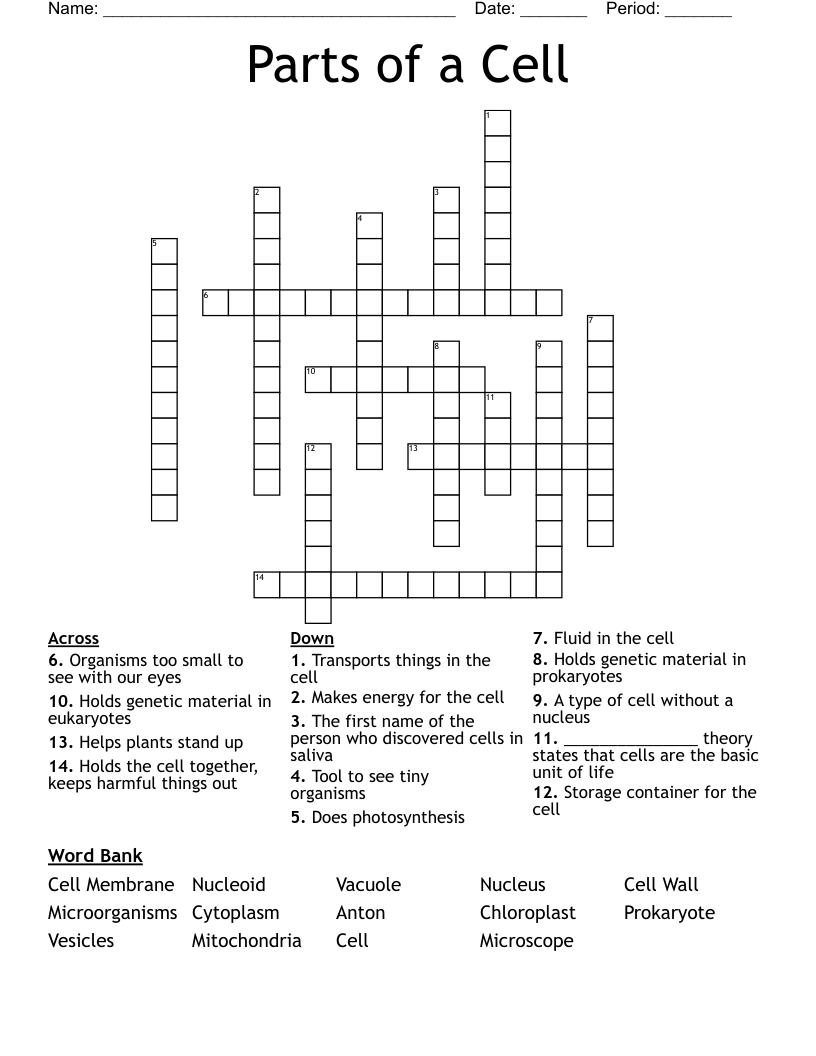 Parts of a Cell Crossword - WordMint
