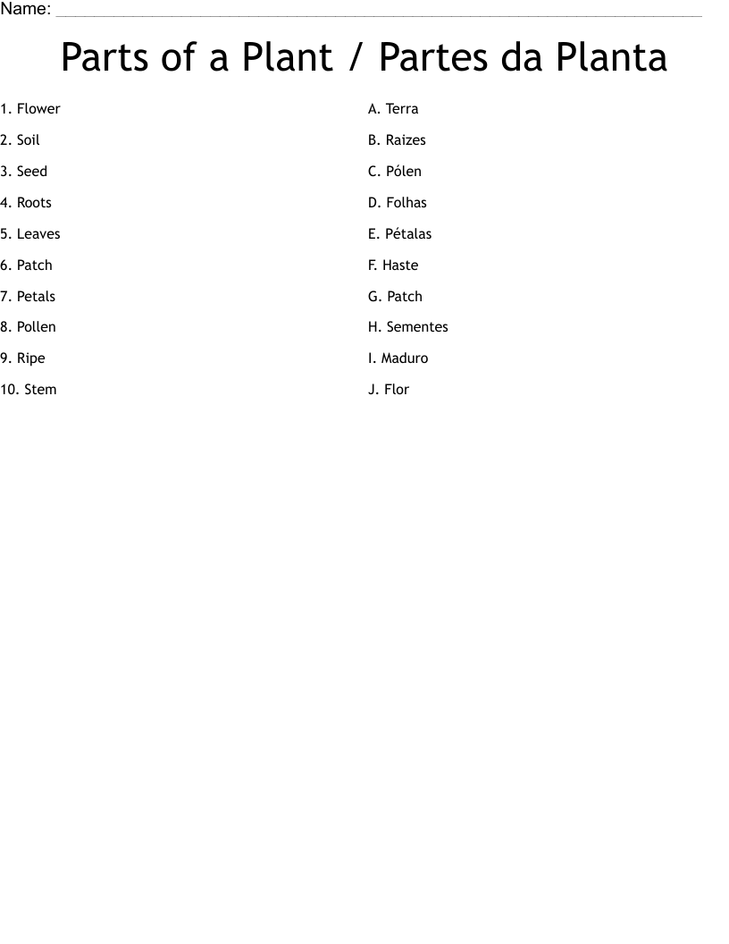 Parts Of A Plant Partes Da Planta Worksheet WordMint parts-of-a-plant-partes-da-planta-worksheet-wordmint