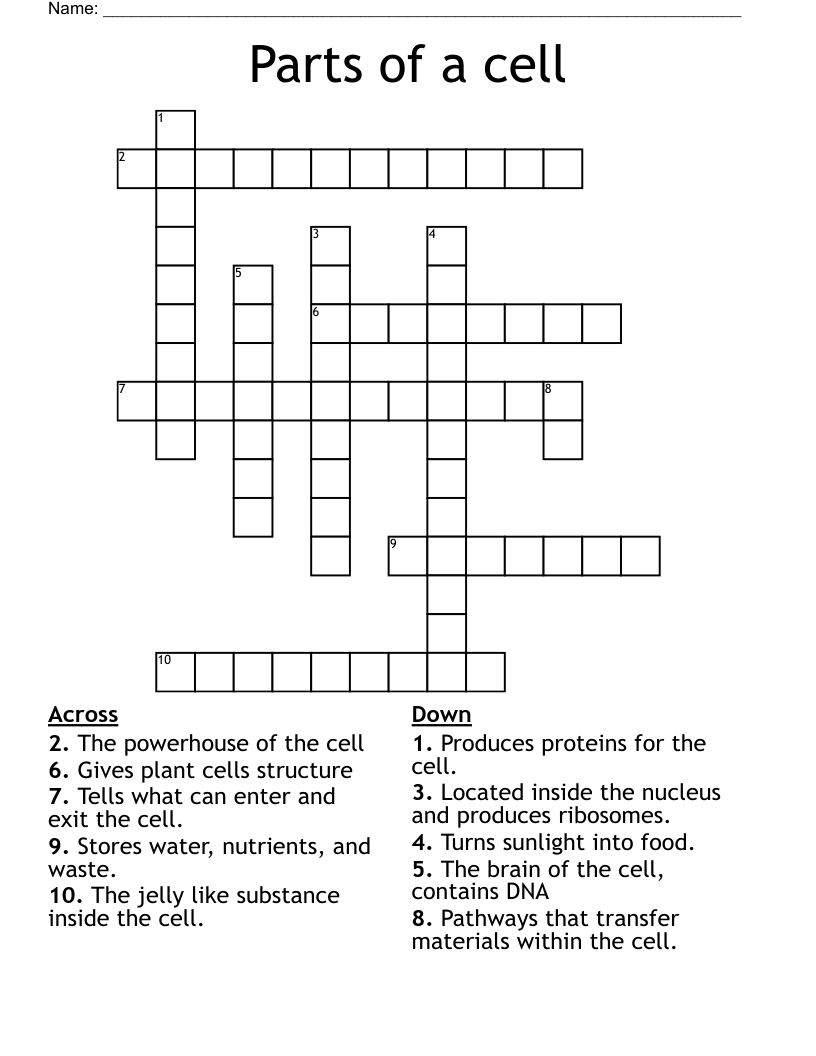 Parts of a cell Crossword - WordMint