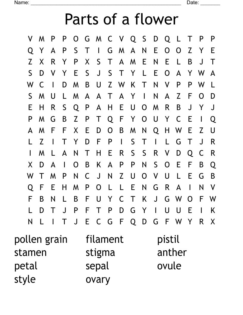 Plant Parts Word Search WordMint