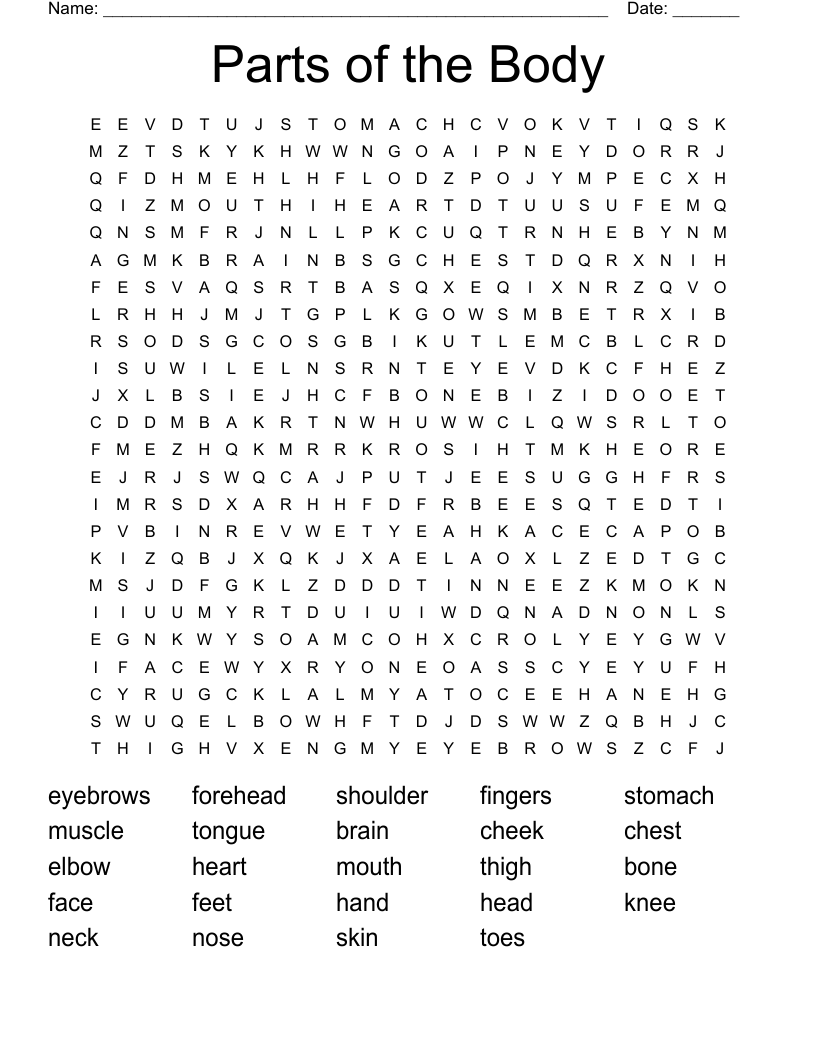 Parts Of The Body Word Search WordMint