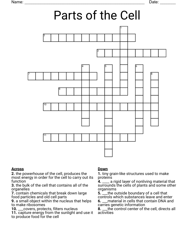 Parts of the Cell Crossword - WordMint