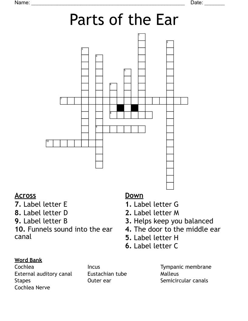 Part Of An Ear Crossword Clue