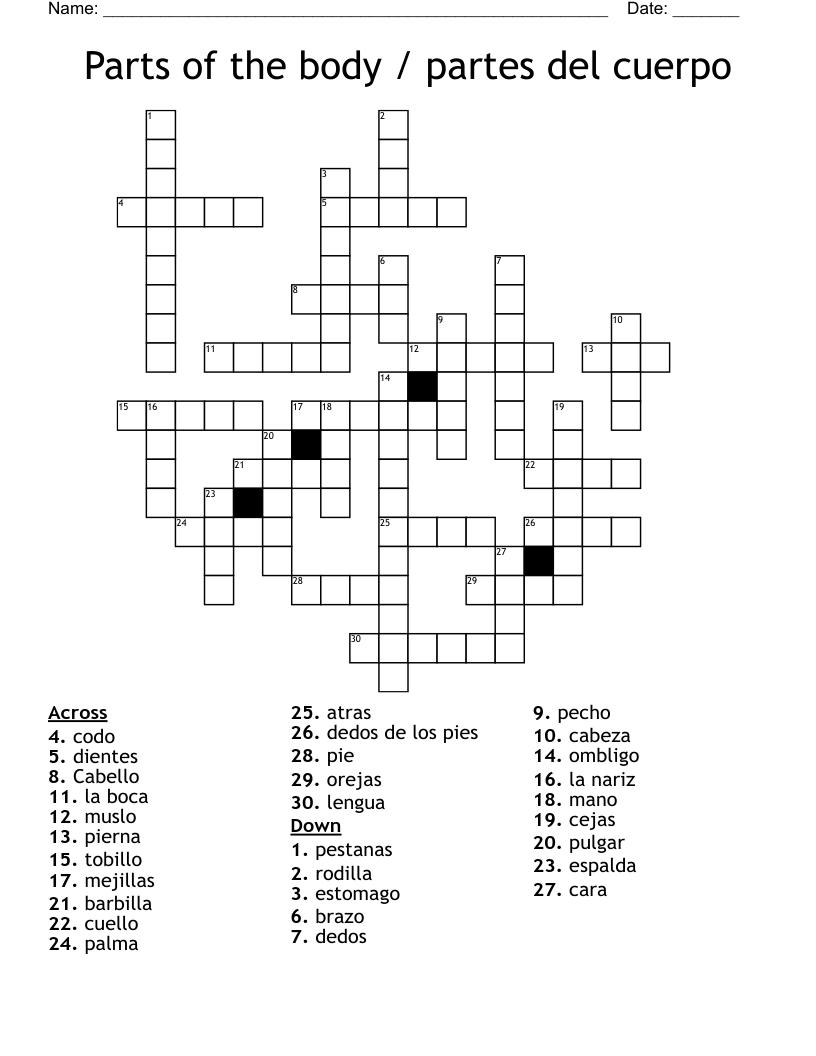 Parts Of The Body Partes Del Cuerpo Crossword WordMint