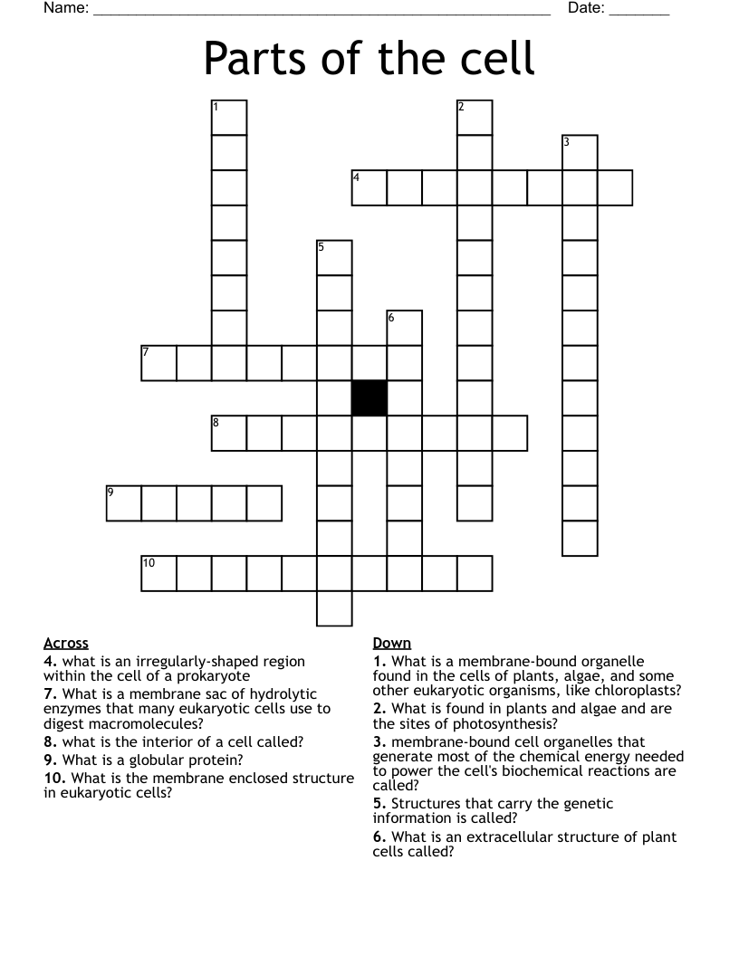 Parts of the cell Crossword - WordMint