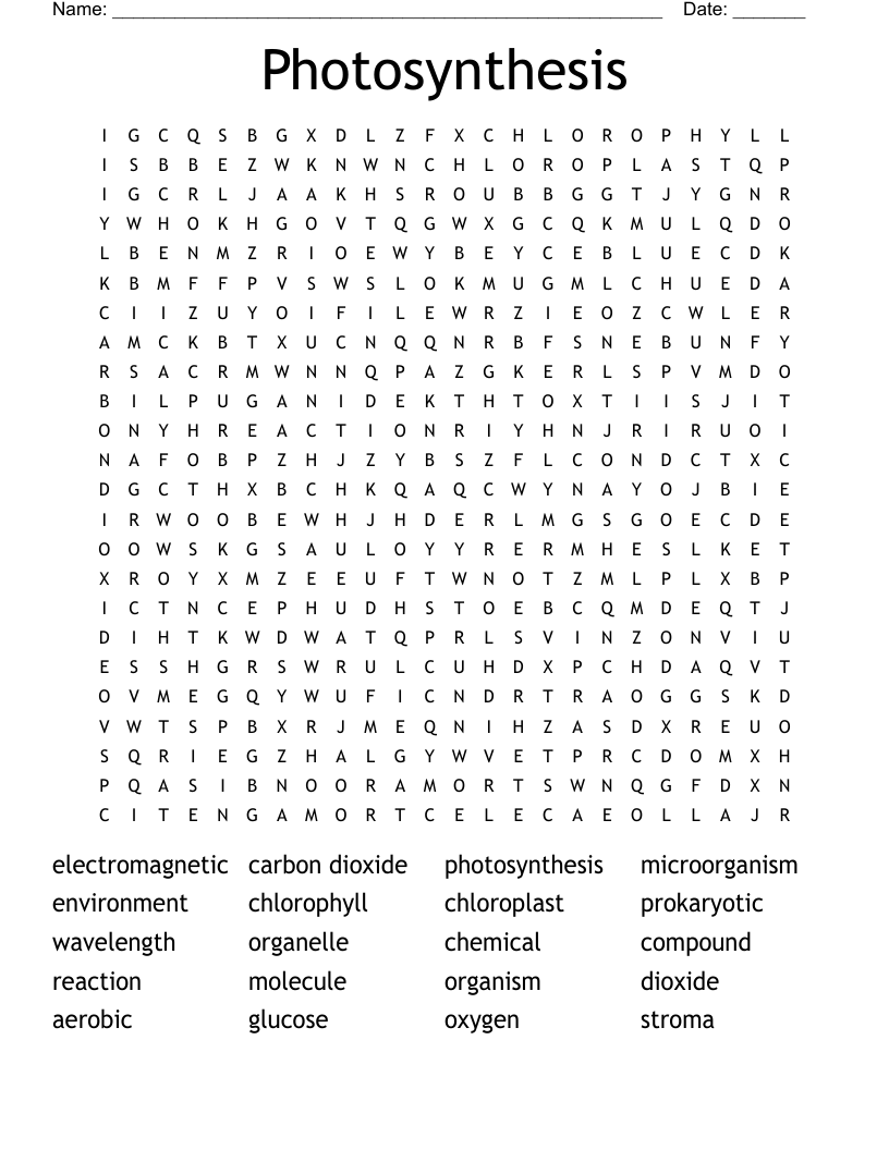 Photosynthesis Word Search WordMint