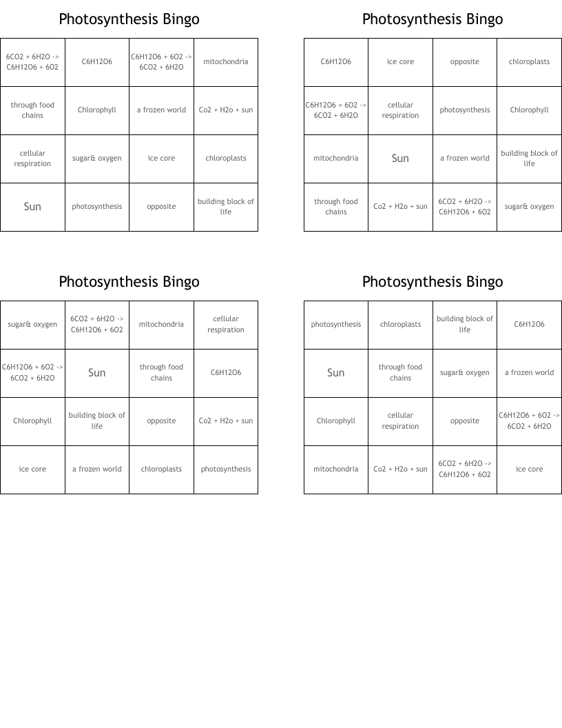Photosynthesis Bingo - WordMint