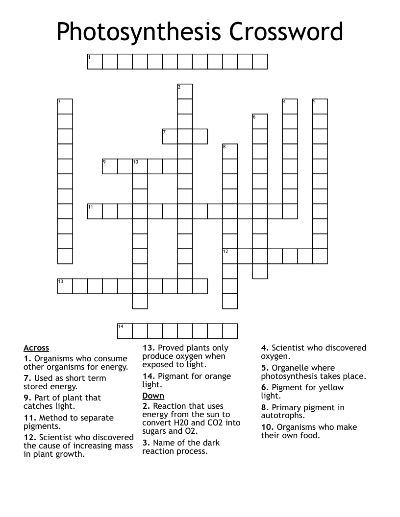 Photosynthesis Crossword - WordMint