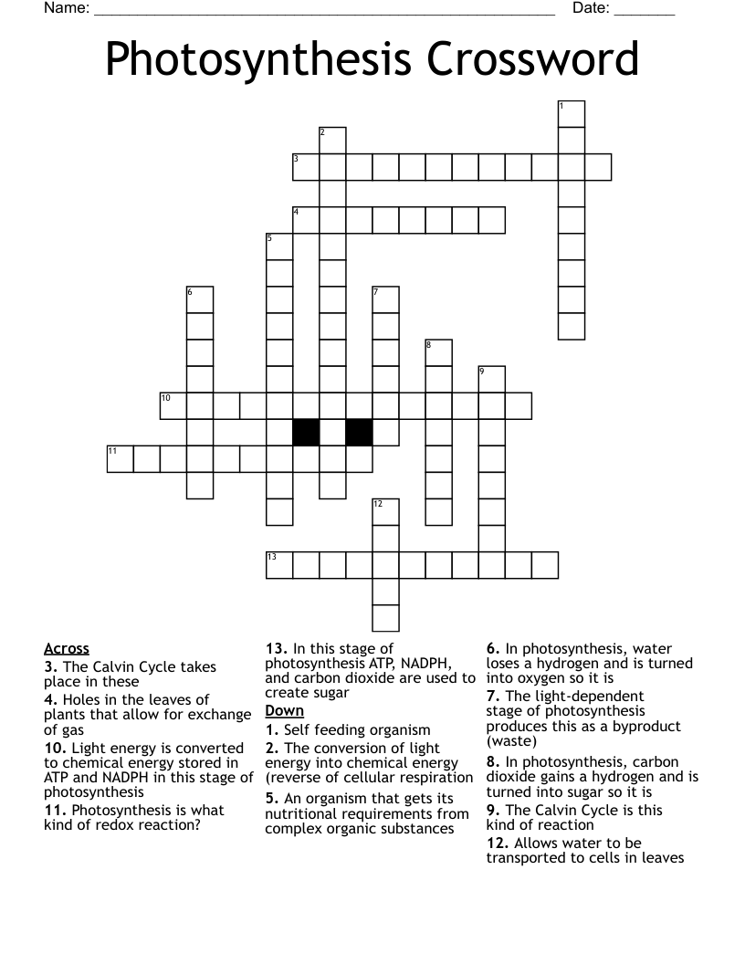 Photosynthesis Crossword - WordMint