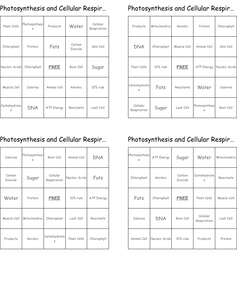 Photosynthesis and Cellular Respiration Bingo Cards - WordMint